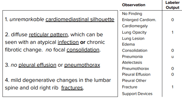 Half a million x-rays! First impressions of the Stanford and MIT chest ...